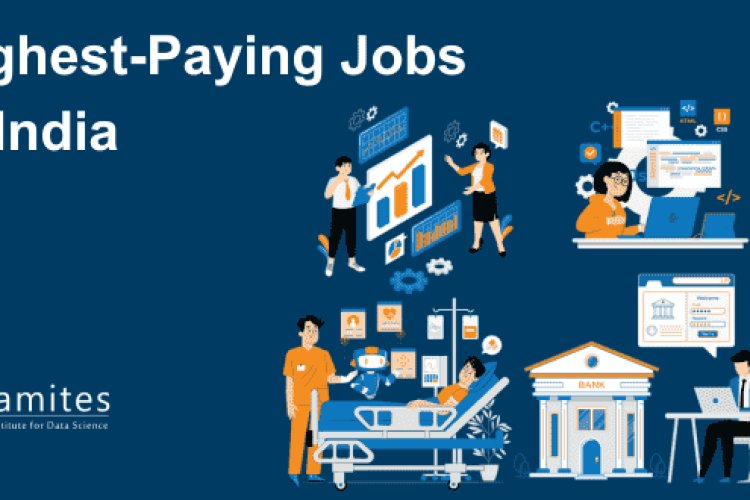 Highest Paying Jobs in India: Career Opportunities and Insights ...